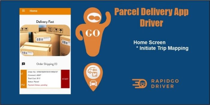 Guide to Using the Rapidgo Driver Demo App - Rapidgo Driver